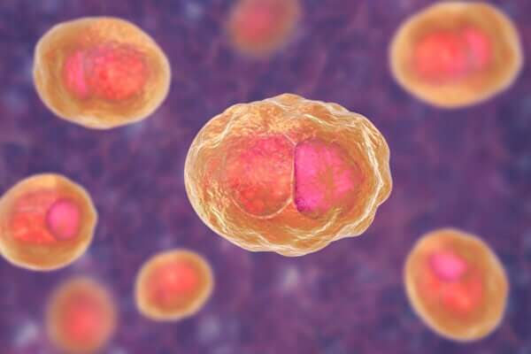 Virtual Lab - AusDiagnostics